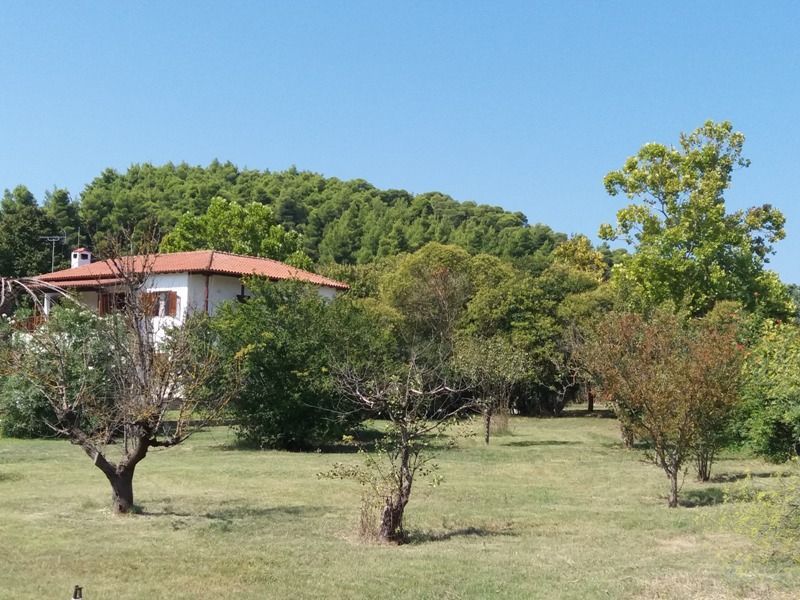 Μονοκατοικία προς πώληση Ποσείδι (Κασσάνδρα)