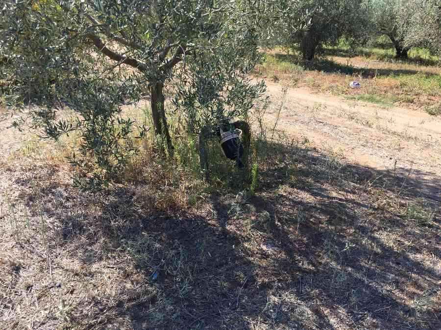 Πώληση, Αγροτεμάχιο, 2000τ.μ. Καλλικράτεια, Νέα Ηράκλεια | 5997147 ...