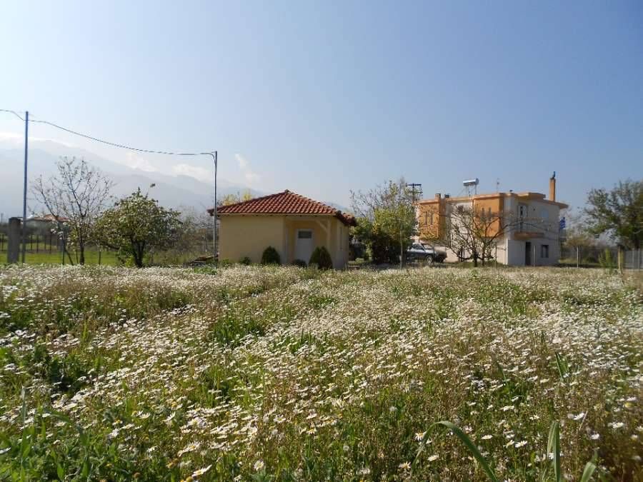 ΠΩΛΕΙΤΑΙ ΤΟ ΣΠΙΤΙ 60TM ΣΕ ΟΙΚΟΠΕΔΟ 100TM ΣΤΗΝ ΛΕΠΤΟΚΑΡΥΑ