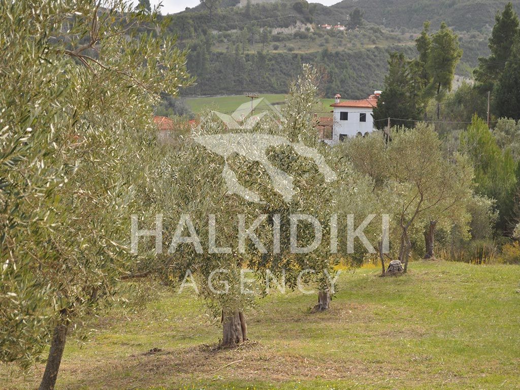 Οικόπεδο προς πώληση Φούρκα (Κασσάνδρα) - ΑΜΦΙΘΕΑΤΡΙΚΟ
