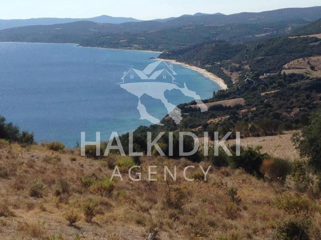ΚΟΝΤΑ ΣΤΗ ΘΆΛΑΣΣΑ