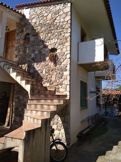 Σκάλα - Πωλείται ελαιώνας με 860 ελαιόδεντρα και αγροικία