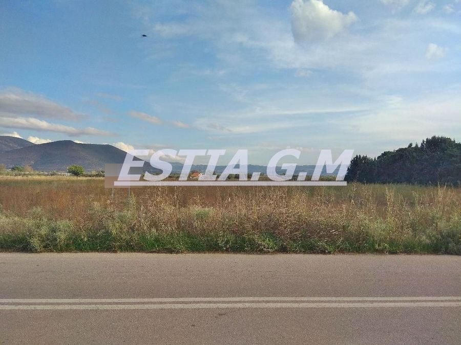Πώληση, Αγροτεμάχιο, 5600τ.μ. Βασιλικά, Κέντρο | 9183604 | Spitogatos