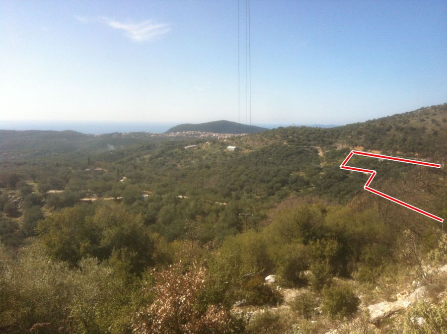 ΕΛΑΙΩΝΑΣ ΜΕ ΕΞΟΧΙΚΗ ΚΑΤΟΙΚΙΑ ΗΜΙΤΕΛΗ 5 ΣΤΡΕΜΑΤΑ 90 ΔΕΝΤΡΑ