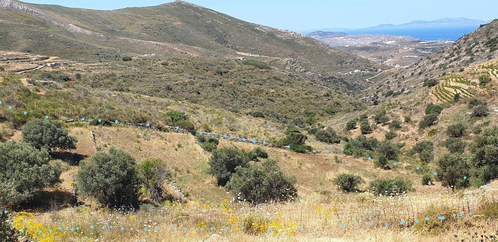 Αγροτεμάχιο προς πώληση Παροικιά (Πάρος) - Παροικια | Θαψανα ...
