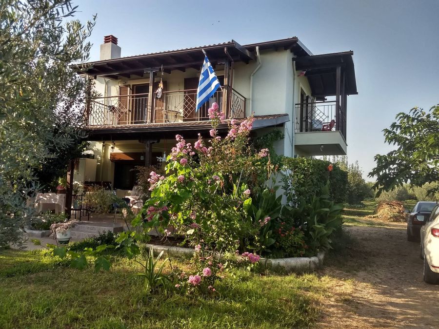 ΠΡΟΣ ΠΩΛΗΣΗ: ΜΟΝΟΚΑΤΟΙΚΙΑ ΣΤΟΝ ΑΓ. ΜΑΜΑ ΣΕ ΕΛΑΙΩΝΑ ΚΟΝΤΑ ΣΤΗΝ ΘΑΛΑΣΣΑ