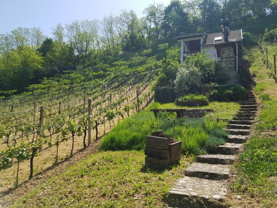 Vikend kuća na prodaju, 49m2, 20.000€ - Kapavac | Indomio.hr