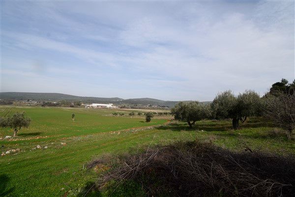 Αγροτεμάχιο προς πώληση Συκάμινο