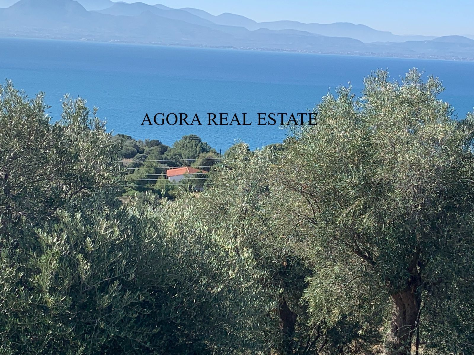 ΠΩΛΕΙΤΑΙ ΟΙΚΟΠΕΔΟ 8.000τμ ΣΤΗ ΛΙΜΝΗ ΒΟΥΛΙΑΓΜΕΝΗΣ ,ΧΤΙΖΕΙ 600τμ