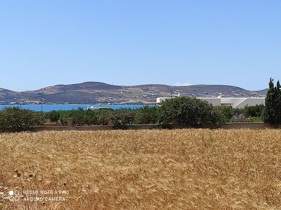 Αγροτεμάχιο προς πώληση Κάμπος (Πάρος)
