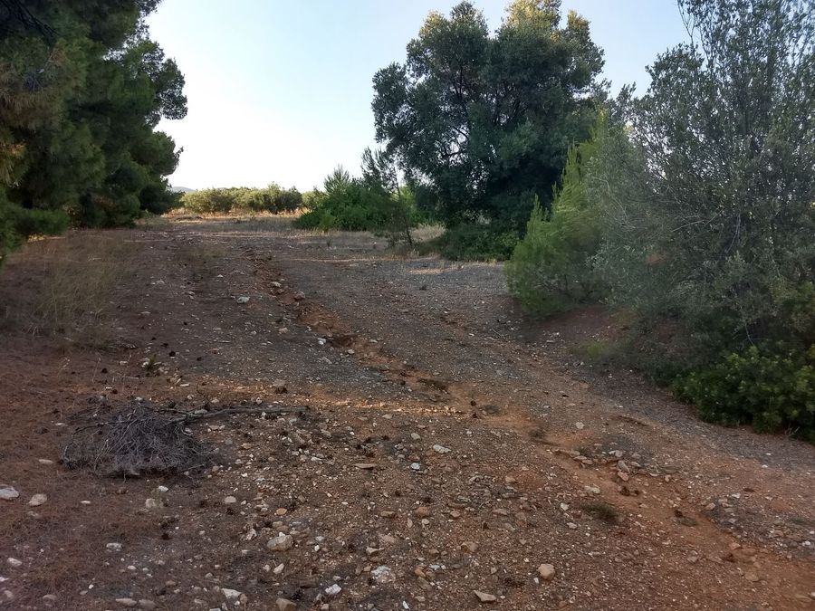 ΠΩΛΕΙΤΑΙ ΑΓΡΟΤΕΜΑΧΙΟ ΣΤΗΝ ΝΙΚΗΤΗ ΑΡΤΙΟ ΟΙΚΟΔΟΜΗΣΙΜΟ