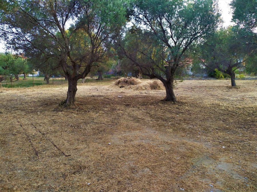 Πώληση, Οικόπεδο, 500τ.μ. Ευπάλιο, Μαραθιάς | 11555166 | Spitogatos