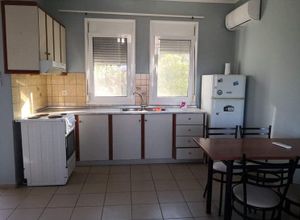 Ενοικίαση, Διαμέρισμα, 45τ.μ. Χίος, Άγιος Μηνάς | 11578295 | Spitogatos