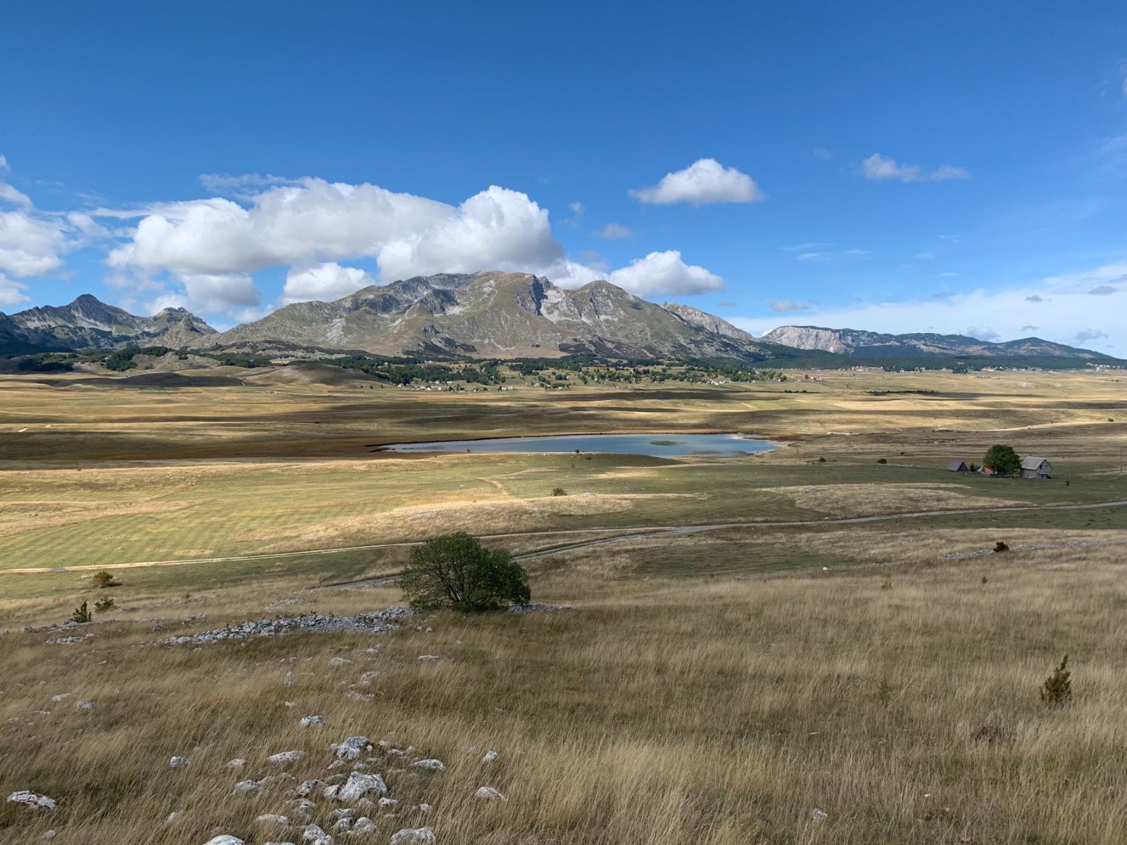 Farm parcel for sale, 500sqm, 12,000€ - Novakovici | Indomio.me