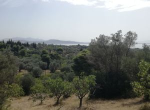 Πώληση, Αγροτεμάχιο, 4000τ.μ. Μεσσαπία, Θεοτόκος | 11751642 | Spitogatos