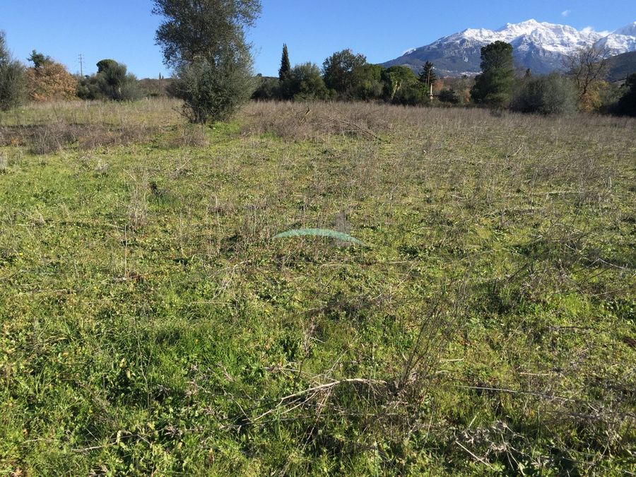Πώληση, Αγροτεμάχιο, 10000τ.μ. Φαρές, Κάτω Σταροχώρι | 12083457 ...