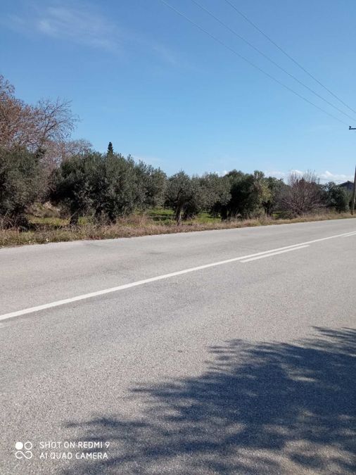 Αγροτεμάχιο προς πώληση Άγιος Νικόλαος (Σιθωνία) - ΧΑΛΚΙΔΙΚΗ ΑΚΤΗ ...