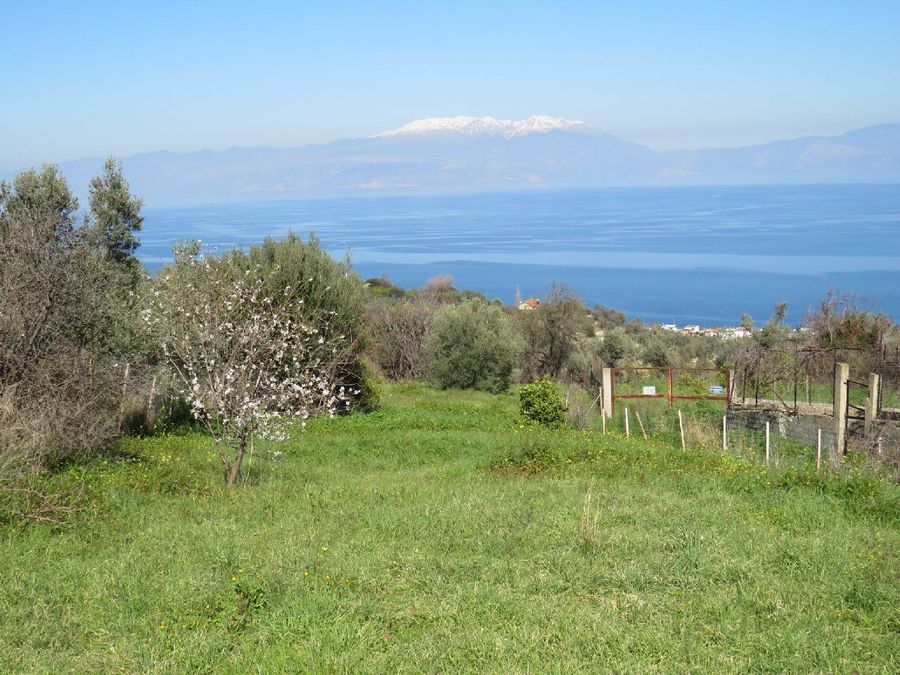 Οικόπεδο προς πώληση Ξυλόκαστρο