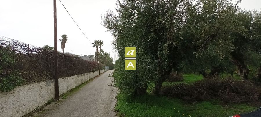 ΠΩΛΗΣΗ ΟΙΚΟΠΕΔΟΥ, ΡΙΟ