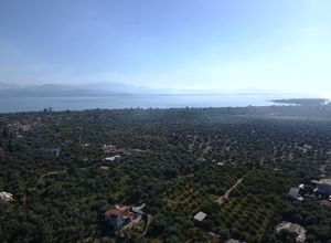 Πώληση, Αγροτεμάχιο, 15480τ.μ. Διακοπτό, Ροδιά | 12473893 | Spitogatos