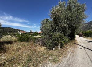 Πώληση, Οικόπεδο, 610τ.μ. Λουτράκι-Περαχώρα, Σχίνος | 12613696 | Spitogatos