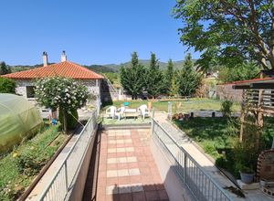 Πώληση, Μονοκατοικία, 362τ.μ. Τρίπολη, Κέντρο | 12648148 | Spitogatos