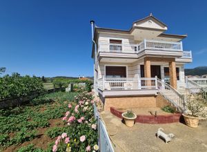 Πώληση, Μονοκατοικία, 362τ.μ. Τρίπολη, Κέντρο | 12648148 | Spitogatos