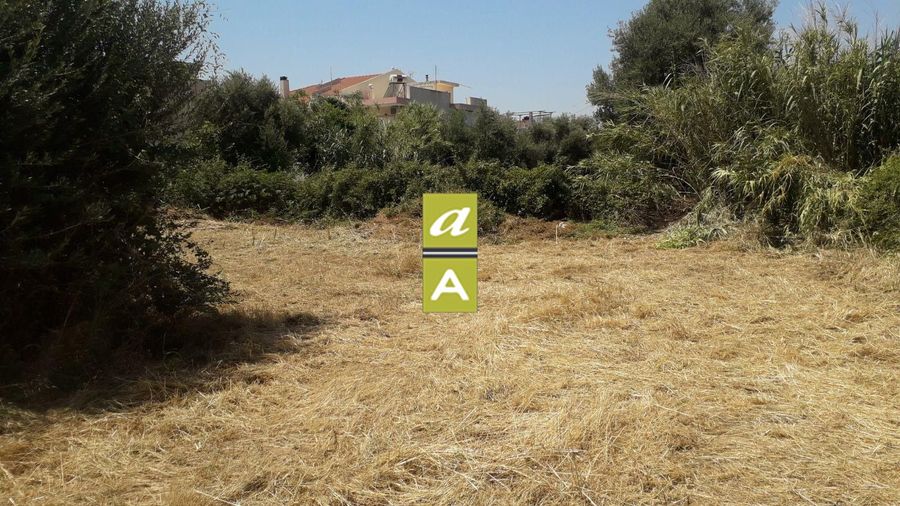 ΕΓΛΥΚΑΔΑ ΠΑΤΡΩΝ, ΠΩΛΗΣΗ ΟΙΚΟΠΕΔΟΥ