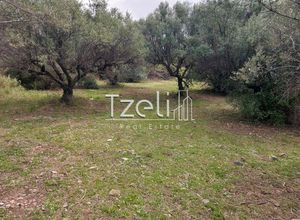 Πώληση, Οικόπεδο, 510τ.μ. Πάτρα, Καρυά | 12668912 | Spitogatos