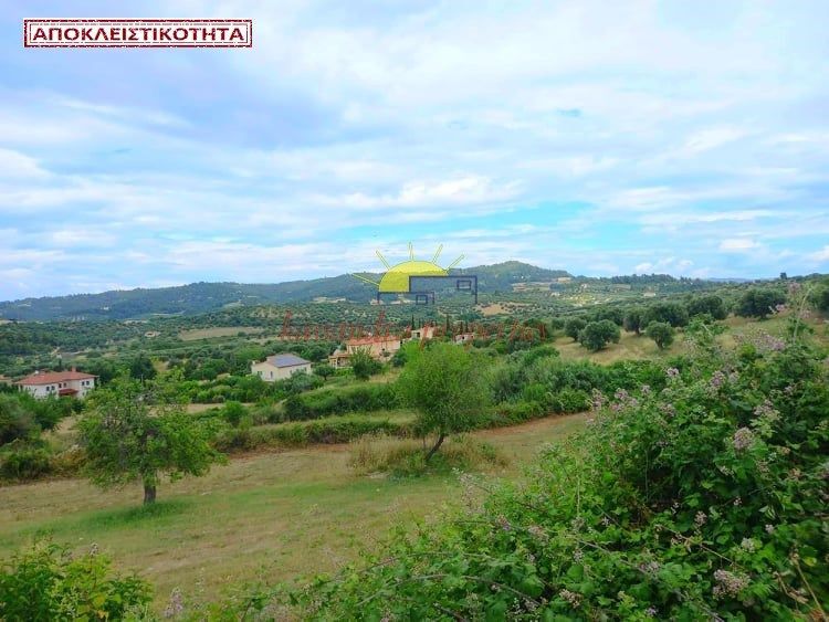 ΕΞΑΙΡΕΤΙΚΟ ΟΙΚΟΠΕΔΟ ΠΡΟΣ ΠΩΛΗΣΗ ΣΤΗΝ ΚΑΛΑΝΔΡΑ, ΣΤΗΝ ΚΑΣΣΑΝΔΡΑ ΧΑΛΚΙΔΙΚΗΣ