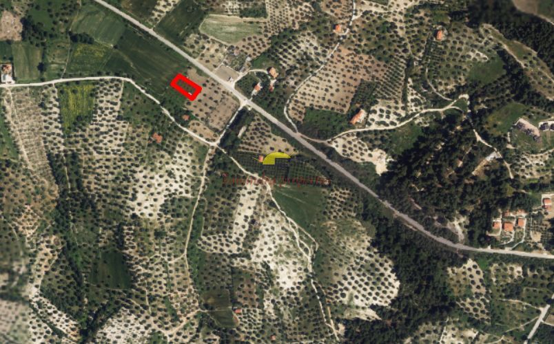 Αγροτεμάχιο προς πώληση Καλάνδρα (Κασσάνδρα) - ΑΓΡΟΤΕΜΑΧΙΟ ΠΡΟΣ ΠΩΛΗΣΗ ...