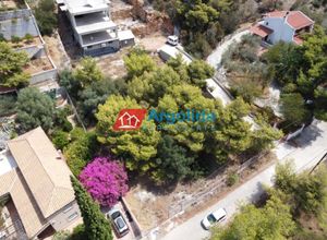 Πώληση, Οικόπεδο, 1008τ.μ. Σολύγεια, Πευκάλι | 12927577 | Spitogatos