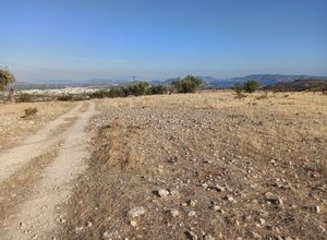 Πώληση, Αγροτεμάχιο, 4800τ.μ. Μέγαρα, Κέντρο | 13159949 | Spitogatos