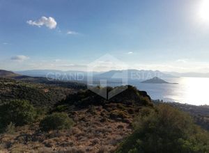 Πώληση, Αγροτεμάχιο, 9000τ.μ. Νησιά Αργοσαρωνικού, Αίγινα | 13162342 ...