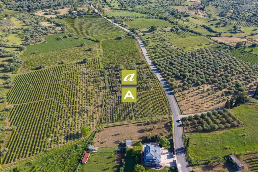 Πώληση, Αγροτεμάχιο, 10000τ.μ. Ωλένια, Μιτόπολη | 13212893 | Spitogatos