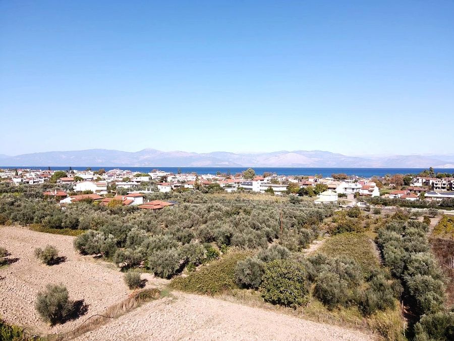 Πώληση, Αγροτεμάχιο, 400τ.μ. Διακοπτό, Ελαιώνας | 13267962 | Spitogatos