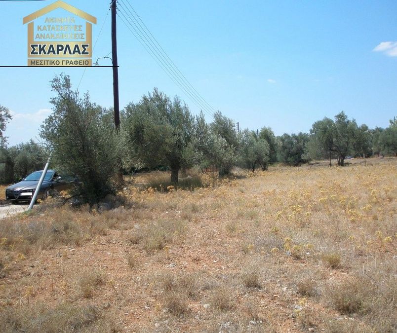 Πώληση, Αγροτεμάχιο, 4000τ.μ. Ερέτρια, Μαγούλα | 13086879 | Spitogatos