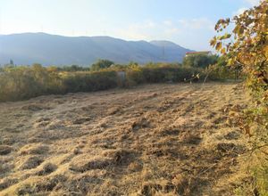 Πώληση, Οικόπεδο, 309τ.μ. Τολοφώνα, Παραλία Τολοφώνας | 13292578 ...