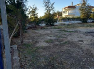 Πώληση, Οικόπεδο, 800τ.μ. Μέγαρα, Κινέτα | 13356979 | Spitogatos