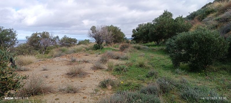 ΑΓΡΟΤΕΜΑΧΙΟ ΜΕ ΜΟΝΟΚΑΤΟΙΚΙΑ ΣΤΗΝ ΣΗΤΕΙΑ ΠΩΛΕΙΤΑΙ