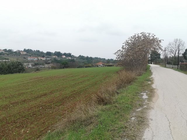 Πώληση, Αγροτεμάχιο, 4687τ.μ. Θερμαϊκός, Νέοι Επιβάτες | 13415241 ...