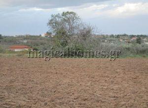 Πώληση, Αγροτεμάχιο, 3500τ.μ. Θερμαϊκός, Αγία Τριάδα | 13648882 ...