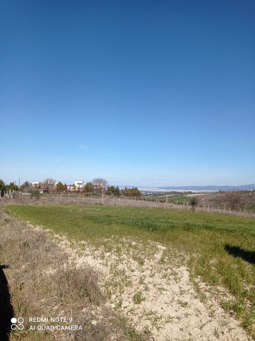 Πώληση, Αγροτεμάχιο, 7280τ.μ. Θερμαϊκός, Άνω Περαία | 13690977 | Spitogatos