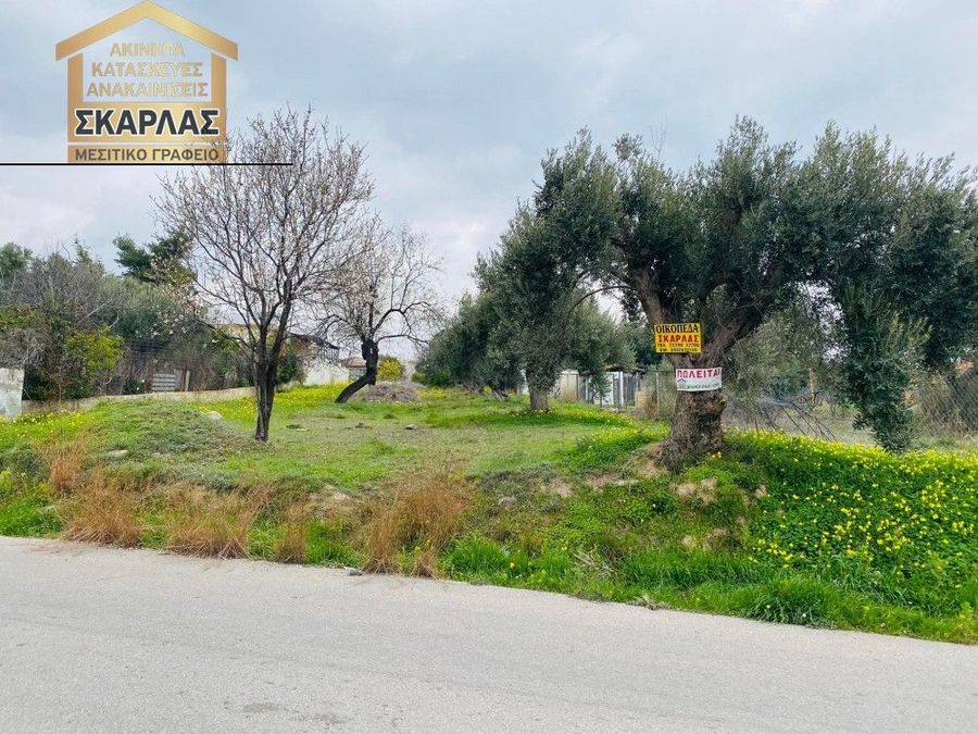 Πώληση, Αγροτεμάχιο, 981τ.μ. Εύβοια, Ερέτρια | 13704220 | Spitogatos