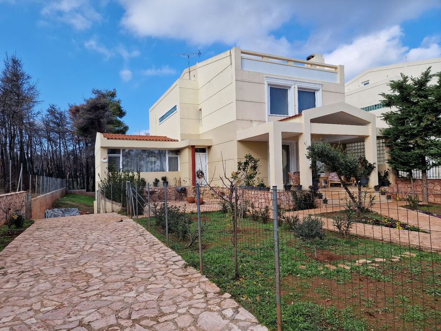 Πώληση, Μονοκατοικία, 470τ.μ. Αφίδνες, Αγία Τριάδα | 13766353 | Spitogatos