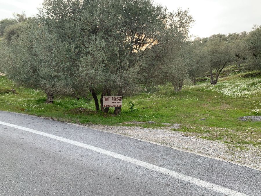 Αγροτεμάχιο προς πώληση Λέσβος - Αγιάσος