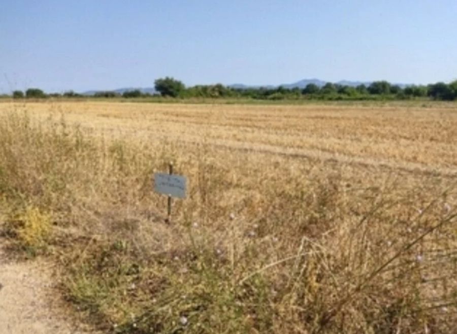 Πώληση, Αγροτεμάχιο, 18500τ.μ. Ιστιαία, Κανατάδικα | 13947527 | Spitogatos