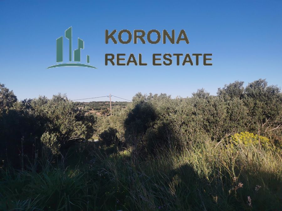 Sale, Hotel, 1250m² Oitilos, Alika | 13840582 | Spitogatos