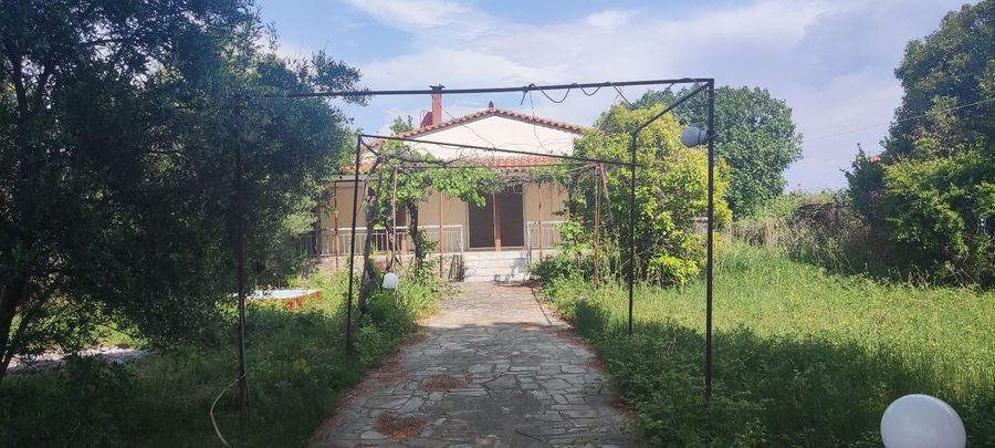 Πώληση, Μονοκατοικία, 70τ.μ. Μεσσαπία, Παραλία Πολιτικών | 14237125 ...