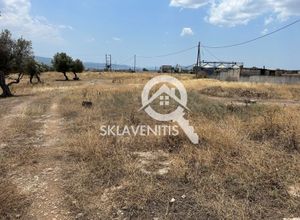 Πώληση, Αγροτεμάχιο, 7500τ.μ. Ασπρόπυργος, Πάτημα | 14270034 | Spitogatos